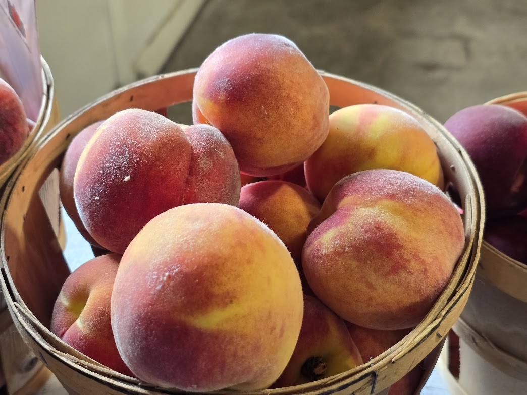 Dries Orchards – Your Local Apple Destination