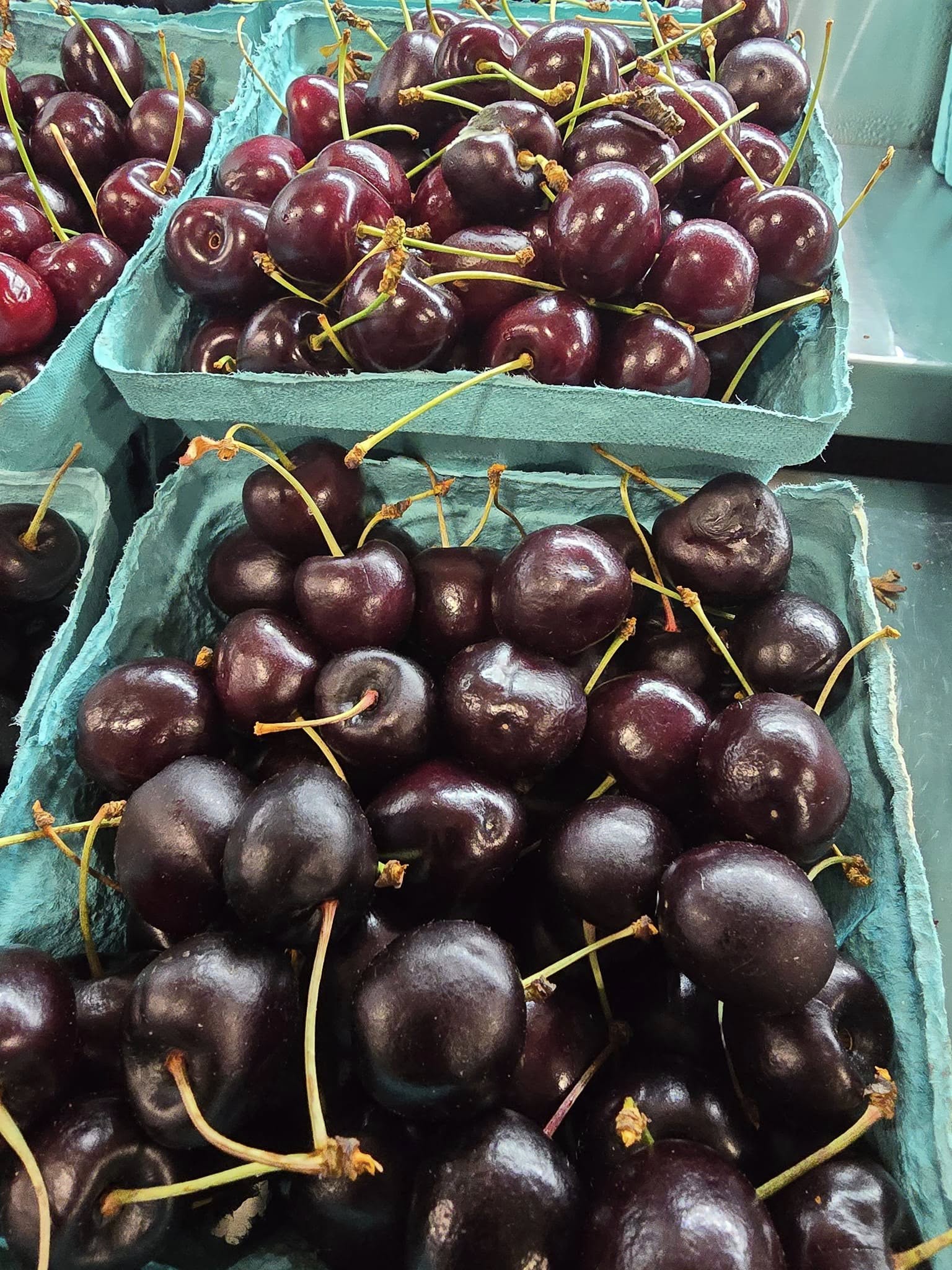 Black Sweet Cherries – Dries Orchards Inc.