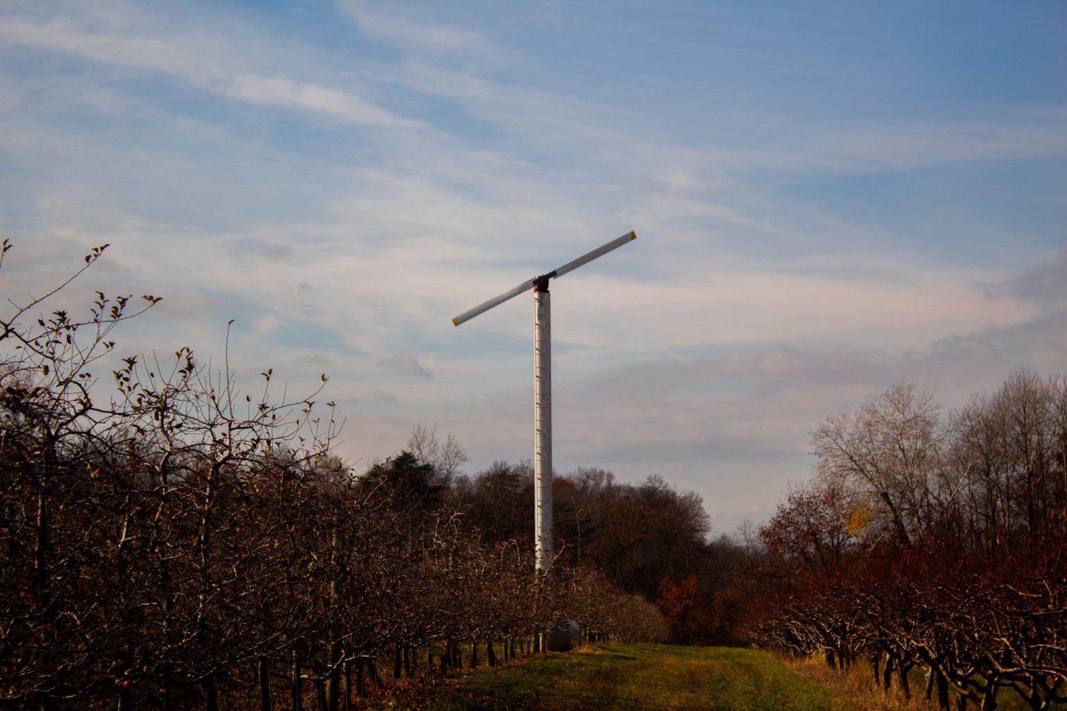 Dries Orchards Inc. – Naturally Delicious