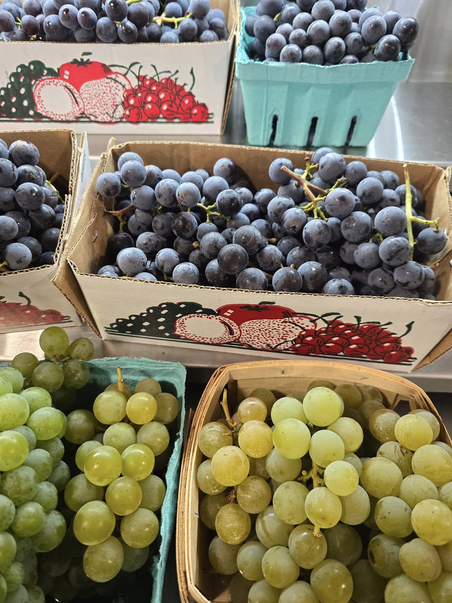 Grapes – Dries Orchards Inc.