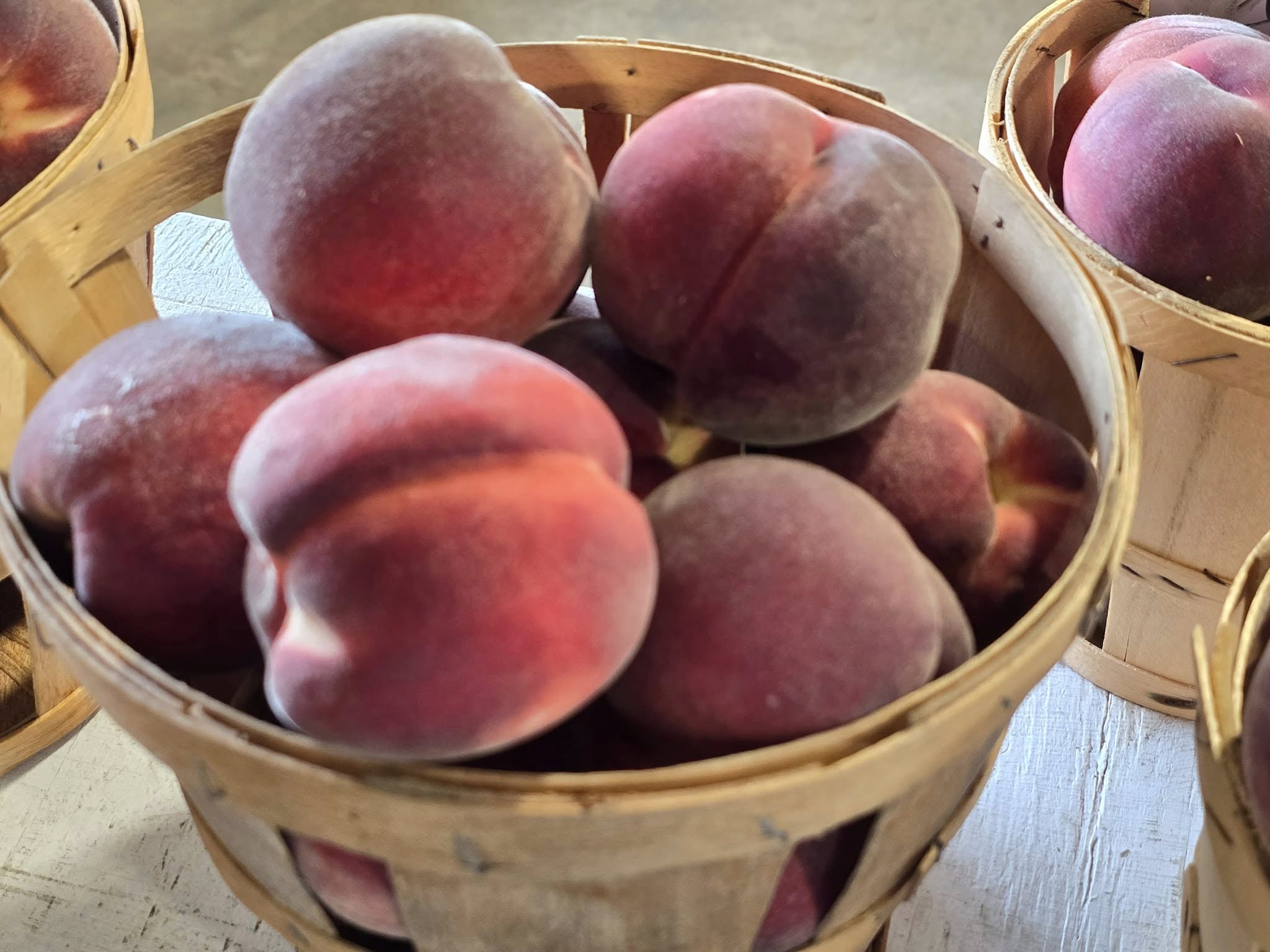 White Peaches – Dries Orchards Inc.